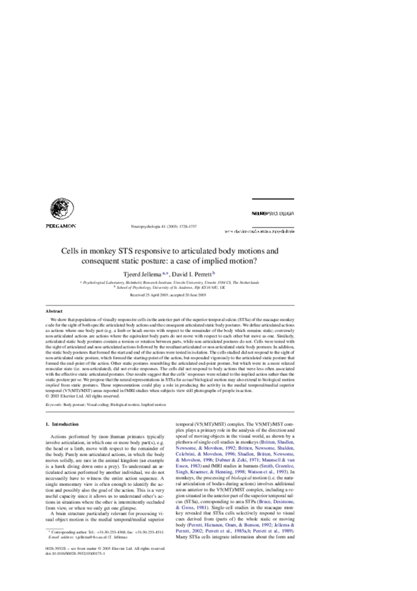 (PDF) Cells in monkey STS responsive to articulated body motions and ...