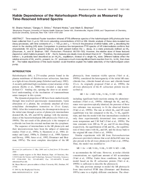 (PDF) Halide Dependence of the Halorhodopsin Photocycle as Measured by ...