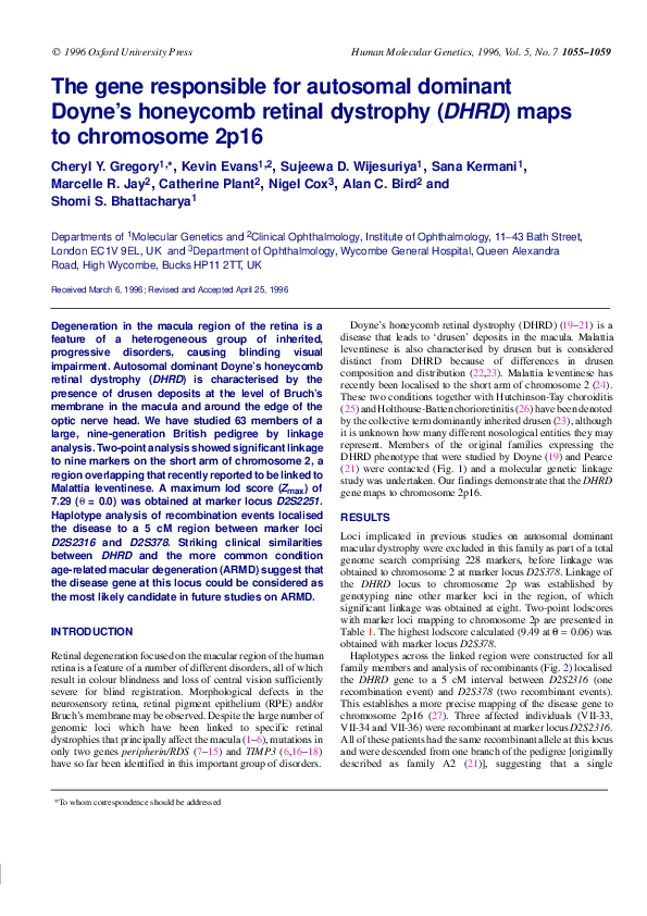 (PDF) The gene responsible for autosomal dominant Doyne's honeycomb ...