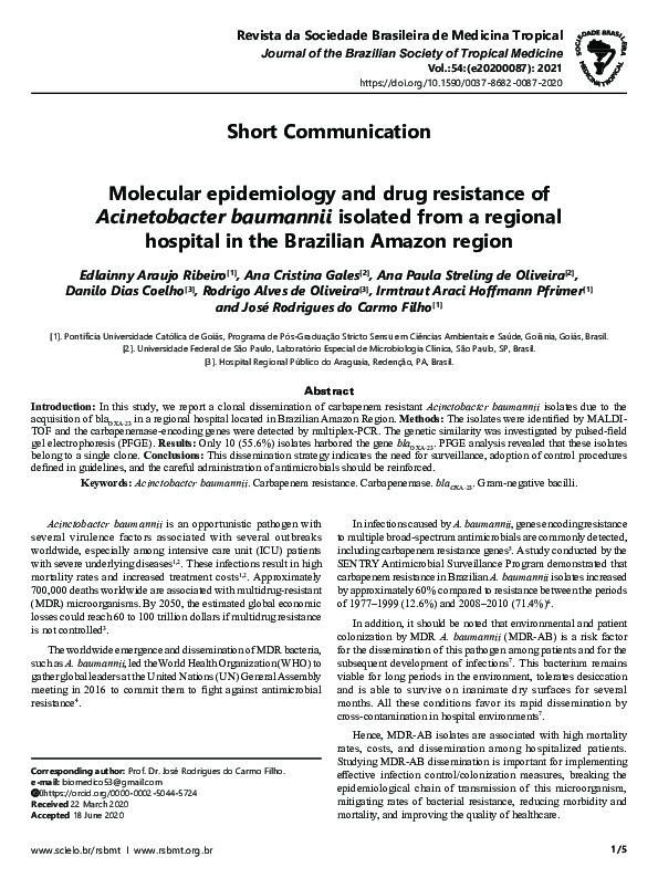 (PDF) Molecular epidemiology and drug resistance of Acinetobacter baumannii isolated from a ...