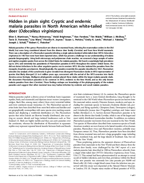 (PDF) Hidden in plain sight: Cryptic and endemic malaria parasites in ...