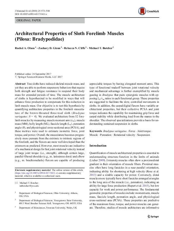 (PDF) Architectural Properties of Sloth Forelimb Muscles (Pilosa ...