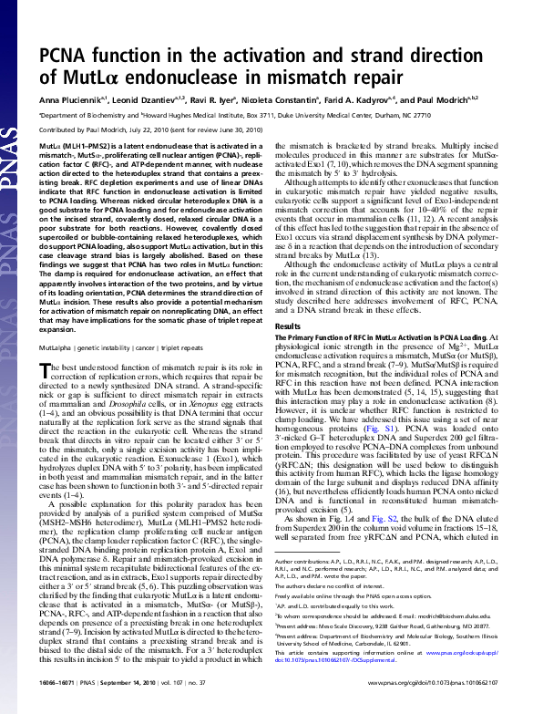 (PDF) From the Cover: PCNA function in the activation and strand ...