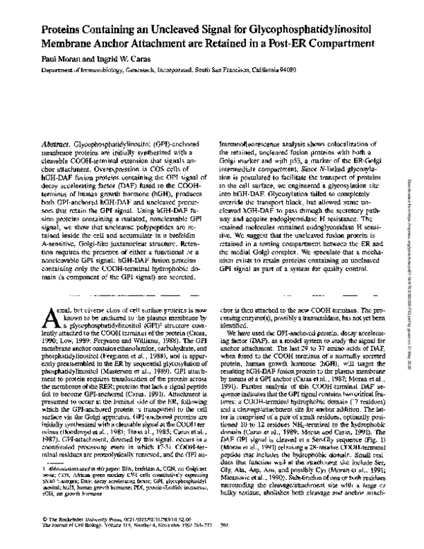 (PDF) Proteins containing an uncleaved signal for ...