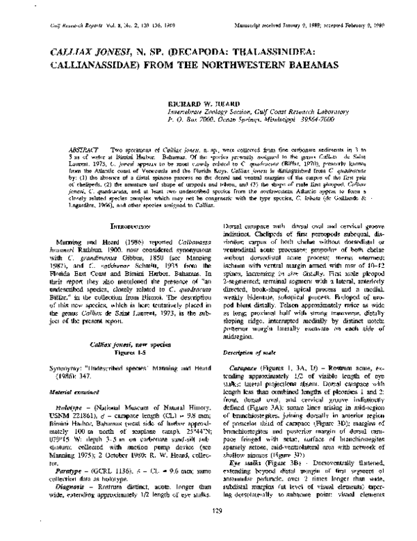 (PDF) Calliax jonesi, N. Sp. (Decapoda: Thalassinidea: Callianassidae ...