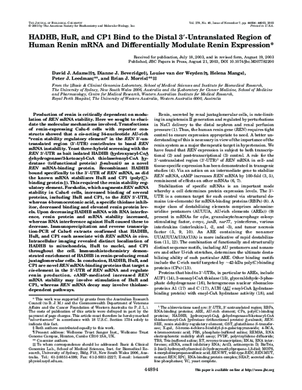 (PDF) HADHB, HuR, and CP1 Bind to the Distal 3'-Untranslated Region of ...