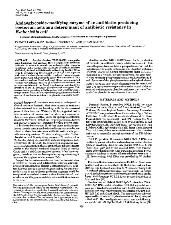 (PDF) Aminoglycoside-modifying enzyme of an antibiotic-producing ...