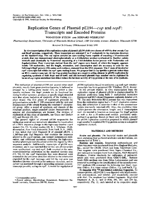 (PDF) Replication genes of plasmid pE194-cop and repF: transcripts and ...