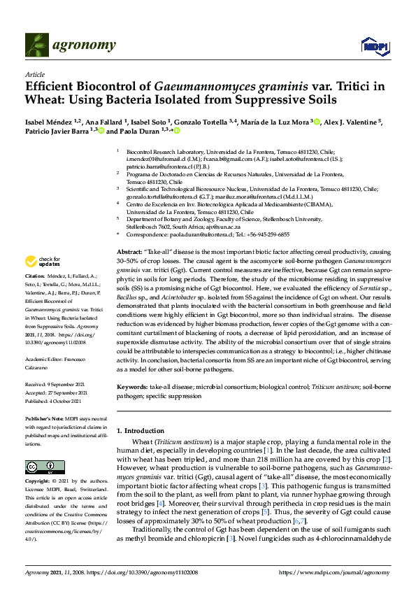 (PDF) Efficient Biocontrol of Gaeumannomyces graminis var. Tritici in ...