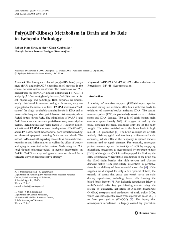 (PDF) Poly(ADP-Ribose) Metabolism in Brain and Its Role in Ischemia ...