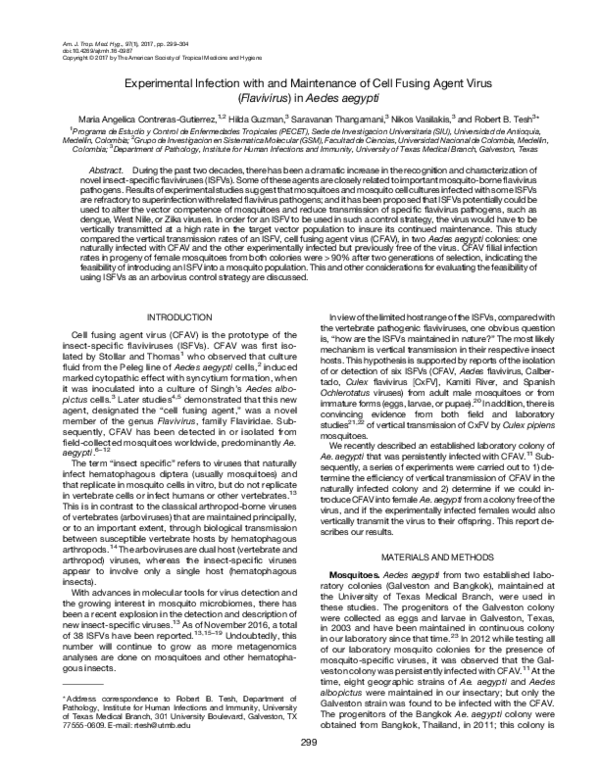 (PDF) Experimental Infection with and Maintenance of Cell Fusing Agent ...