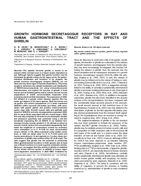 (PDF) Growth hormone secretagogue receptors in rat and human ...