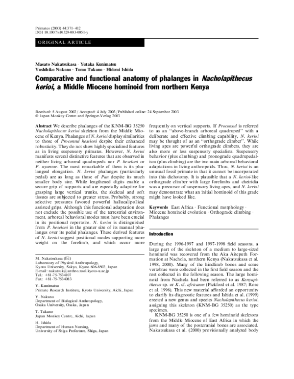(PDF) Comparative and functional anatomy of phalanges in ...