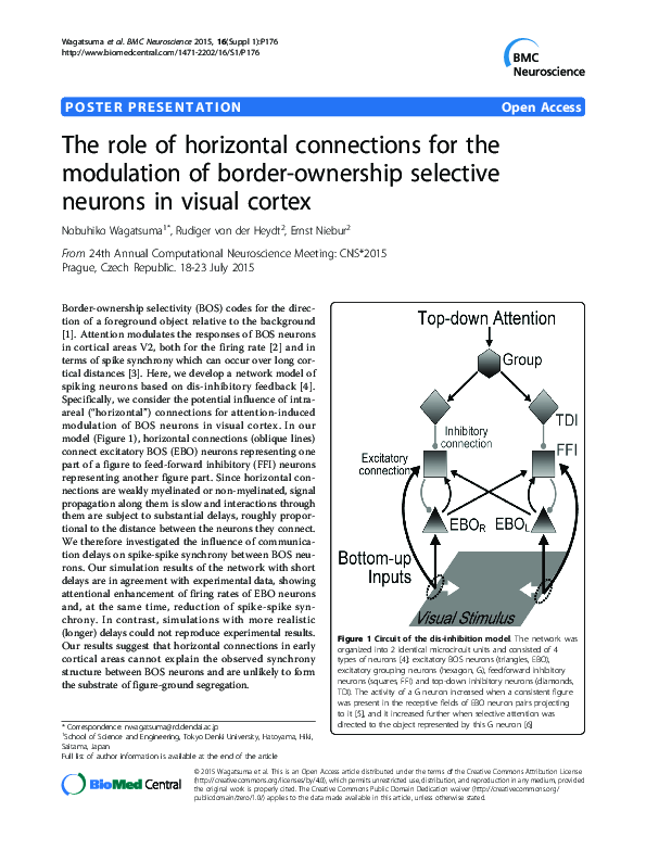 (PDF) The role of horizontal connections for the modulation of border-ownership selective ...