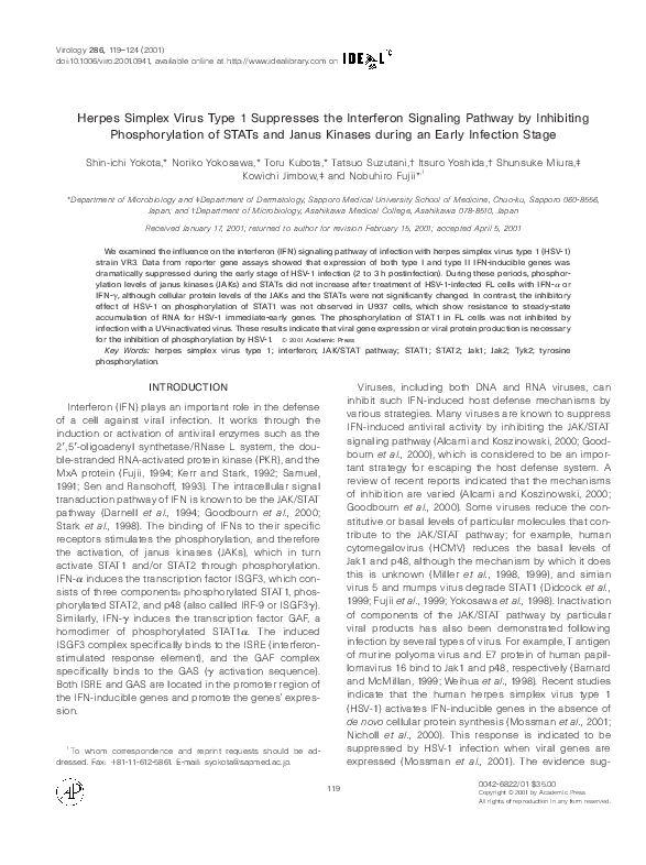 (PDF) Herpes simplex virus type 1 suppresses the interferon signaling ...