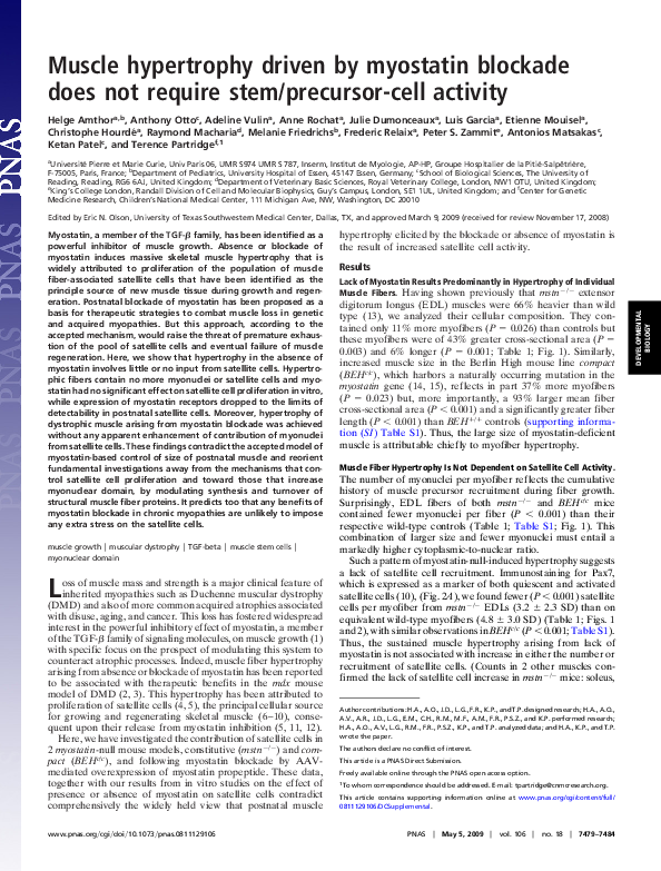 (PDF) Muscle hypertrophy driven by myostatin blockade does not require ...