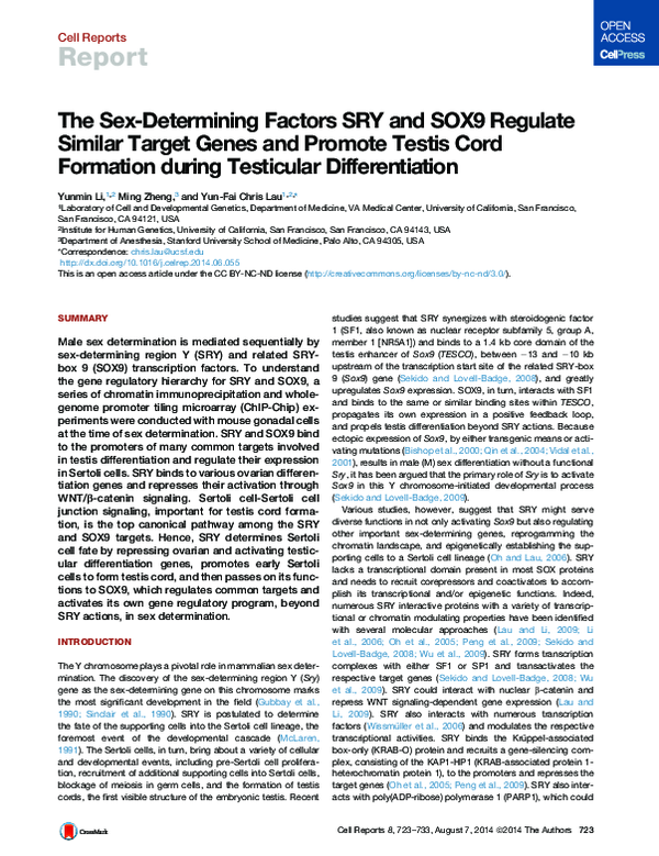 (PDF) The Sex-Determining Factors SRY and SOX9 Regulate Similar Target ...