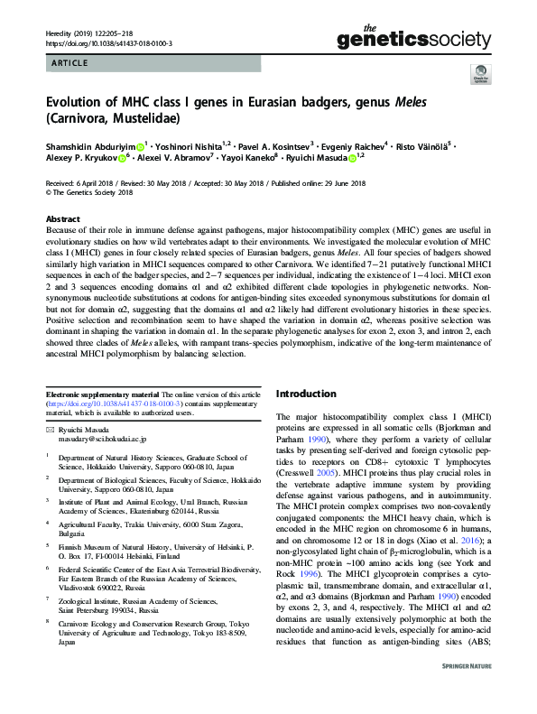 (PDF) Evolution of MHC class I genes in Eurasian badgers, genus Meles ...