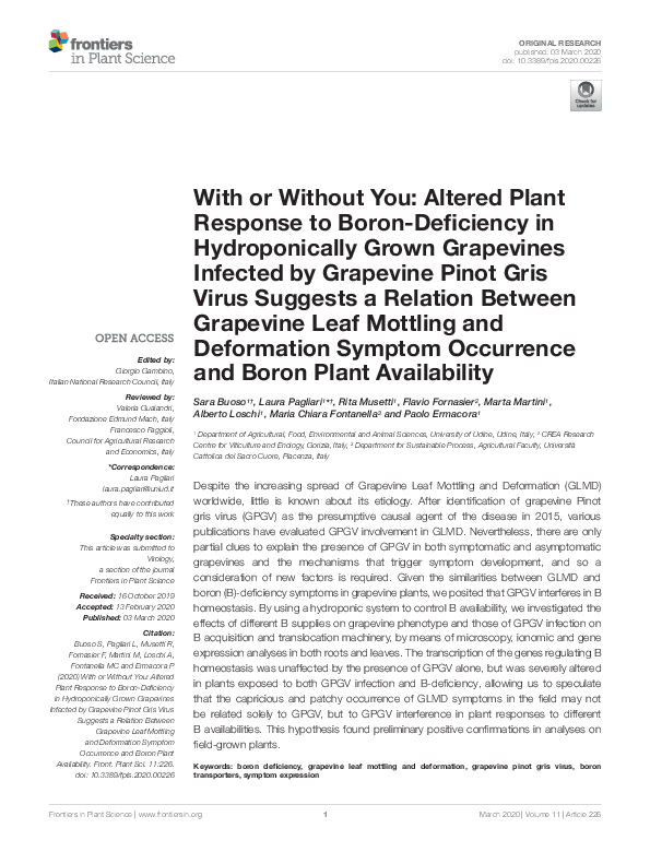 (PDF) With or Without You: Altered Plant Response to Boron-Deficiency ...