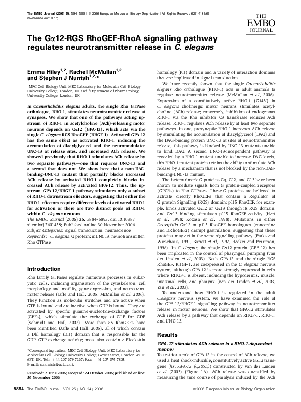 (PDF) The Gα12-RGS RhoGEF-RhoA signalling pathway regulates ...