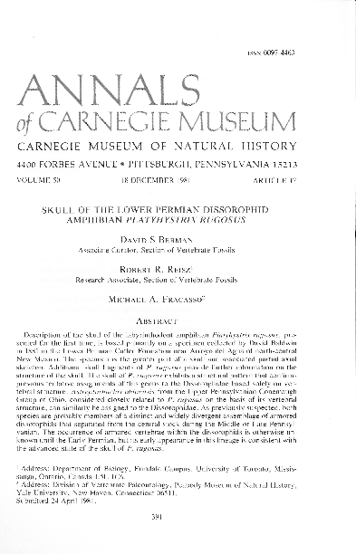 (PDF) Skull of the Lower Permian dissorophid amphibian Platyhystrix rugosus