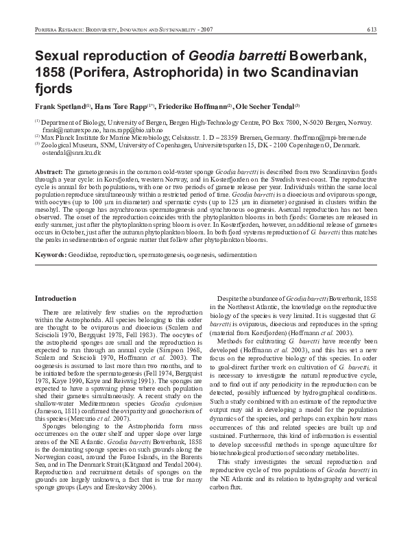 (PDF) Sexual reproduction of Geodia barretti Bowerbank, 1858 (Porifera ...