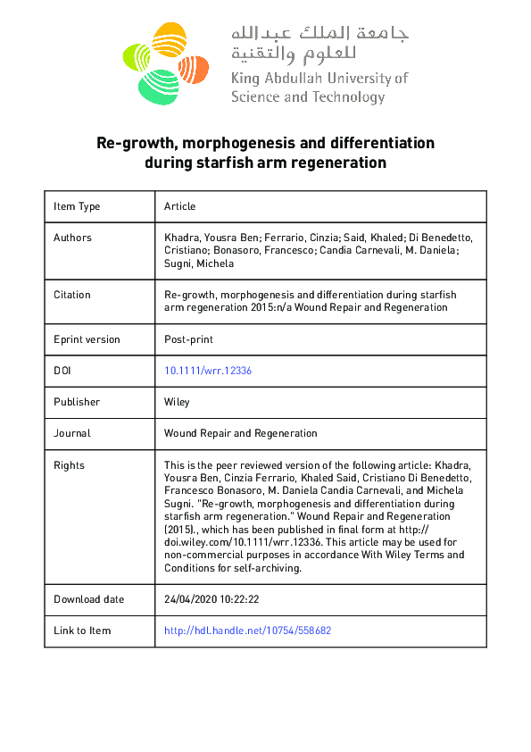 (PDF) Re-growth, morphogenesis, and differentiation during starfish arm ...