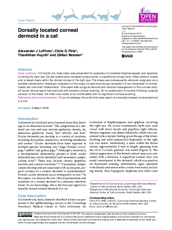 (PDF) Dermoid Cyst Penetrating the Abdominal Cavity in a Persian Cat ...