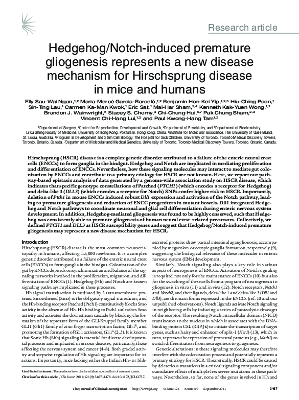 (PDF) Hedgehog/Notch-induced premature gliogenesis represents a new ...