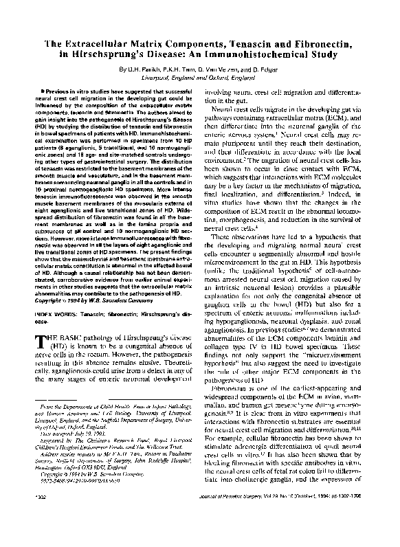 (PDF) The extracellular matrix components, tenascin and fibronectin, in ...