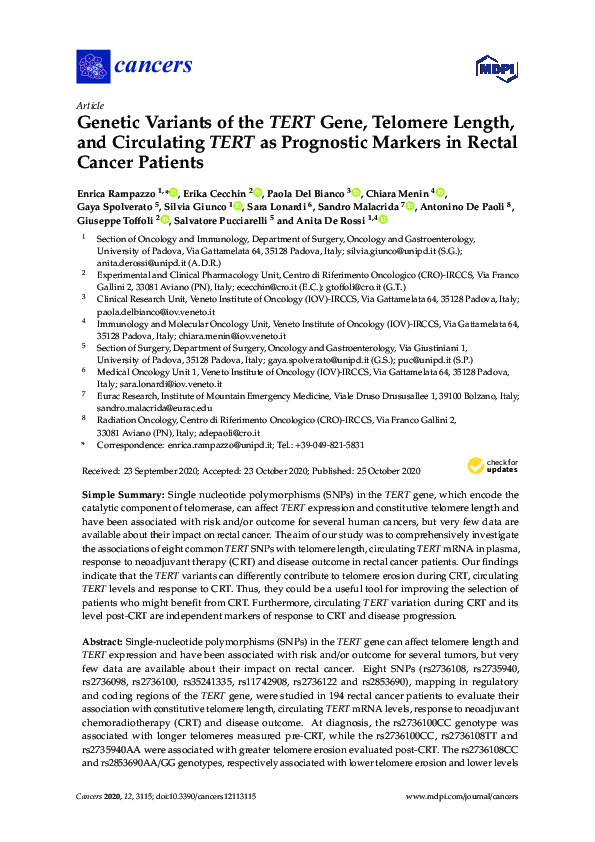 (PDF) Genetic Variants of the TERT Gene, Telomere Length, and ...