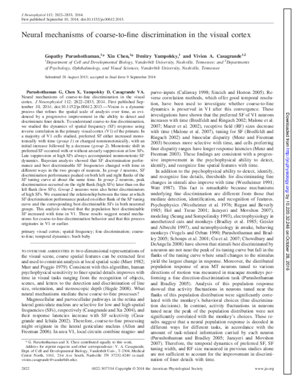 (PDF) Neural mechanisms of coarse-to-fine discrimination in the visual ...