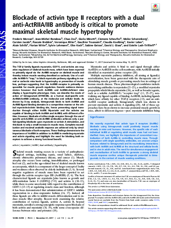 (PDF) Blockade of activin type II receptors with a dual anti-ActRIIA ...