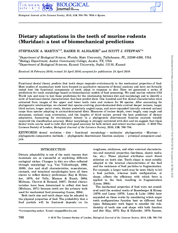 (PDF) Dietary adaptations in the teeth of murine rodents (Muridae): a ...