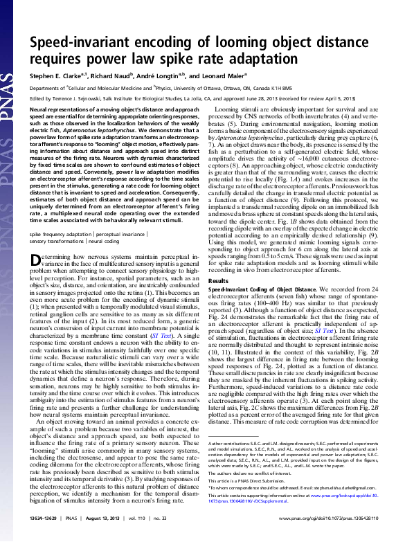 (PDF) Speed-invariant encoding of looming object distance requires ...