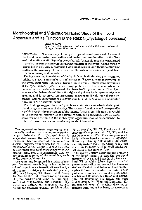 (PDF) Morphological and videofluorographic study of the hyoid apparatus ...