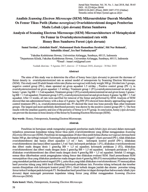 (PDF) Analisis Scanning Electron Microscope (SEM) Mikroarsitektur ...