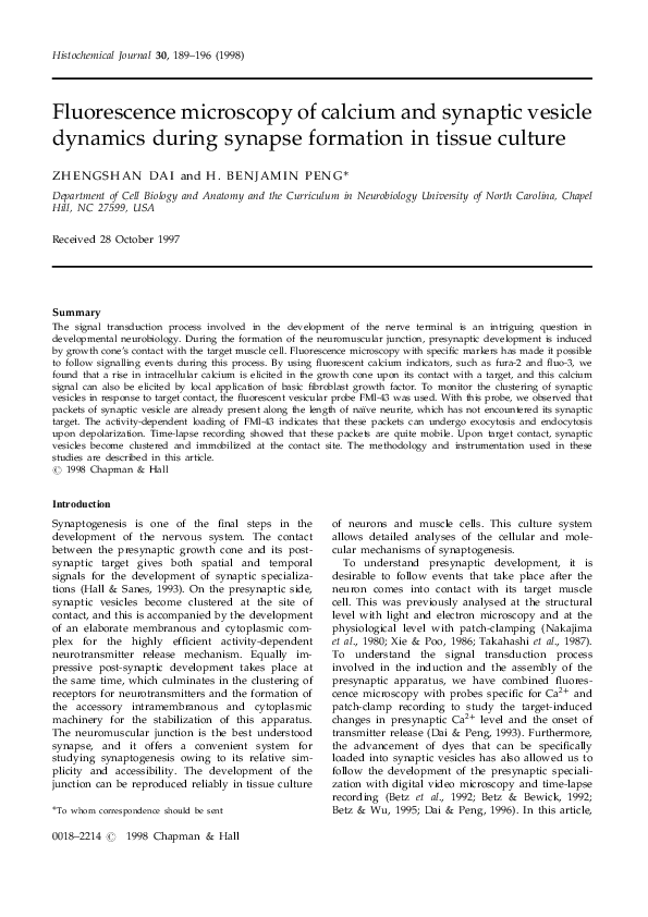 (PDF) Fluorescence microscopy of calcium and synaptic vesicle dynamics ...