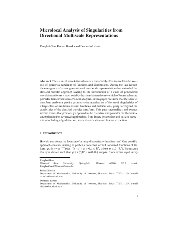 (PDF) Microlocal Analysis of Singularities from Directional Multiscale Representations