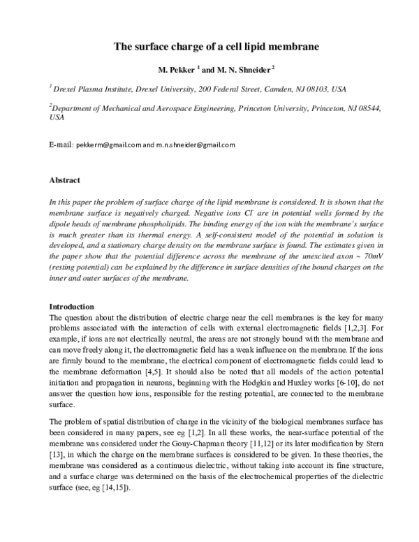 (PDF) The surface charge of a cell lipid membrane