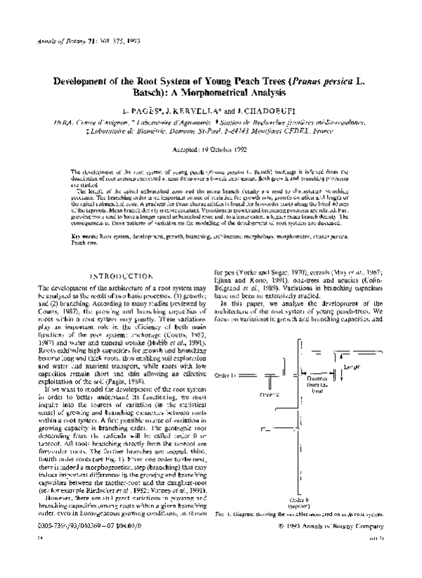 (PDF) Development of the Root System of Young Peach Trees (Prunus ...