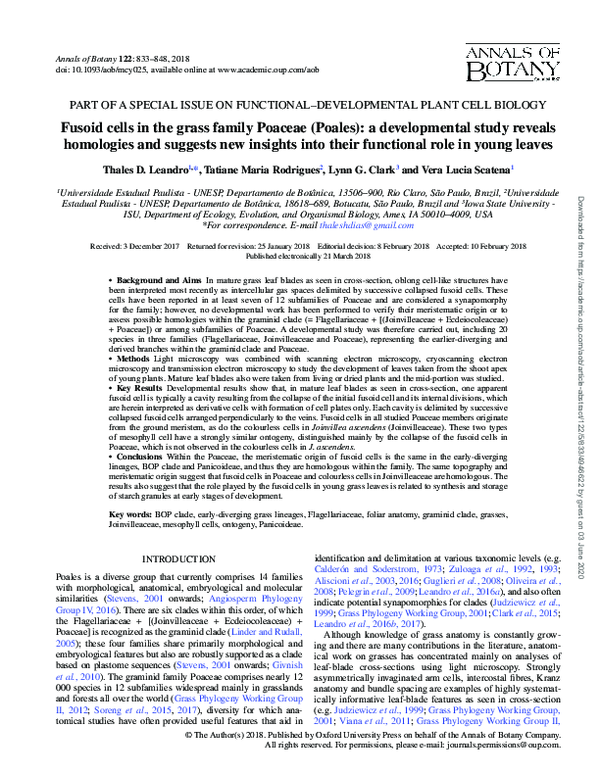 (PDF) Fusoid cells in the grass family Poaceae (Poales): a ...