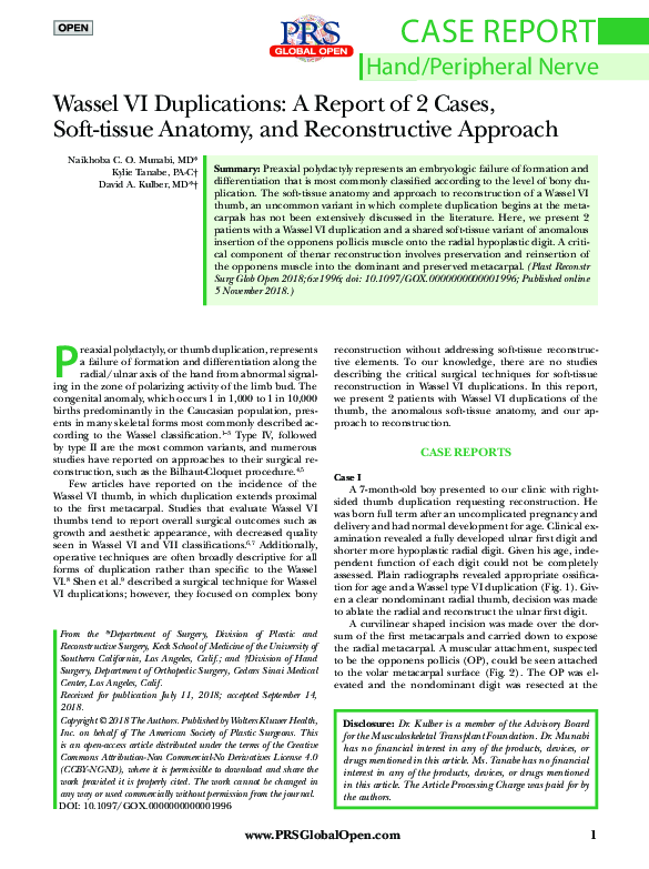(PDF) Wassel VI Duplications