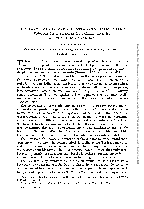 (PDF) The Waxy Locus in Maize. I. Intralocus Recombination Frequency ...