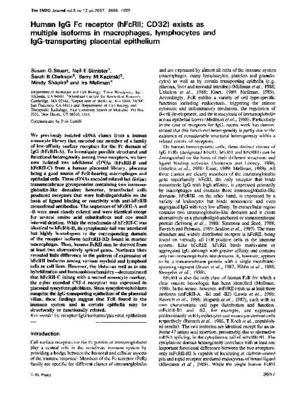 (PDF) Stuart, S. G. et al. Human IgG Fc receptor (hFcRII; CD32) exists ...
