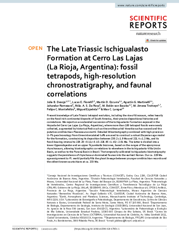 (PDF) The Late Triassic Ischigualasto Formation at Cerro Las Lajas (La ...