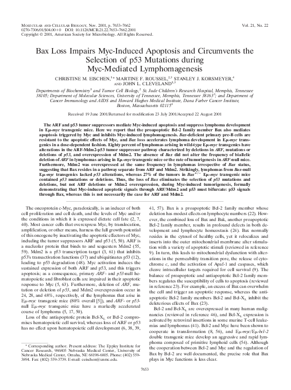 (PDF) Bax Loss Impairs Myc-Induced Apoptosis and Circumvents the ...