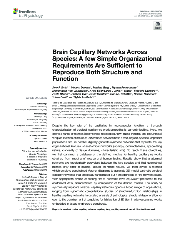 (PDF) Brain Capillary Networks Across Species: A few Simple ...