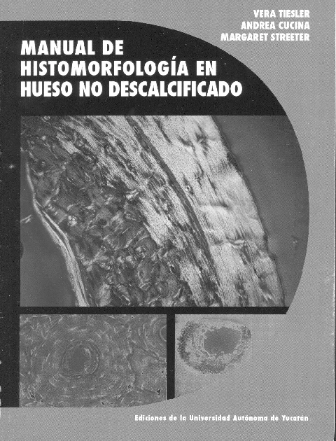 (PDF) Tiesler, Vera, Andrea Cucina y Margaret Streeter (2006). Manual ...