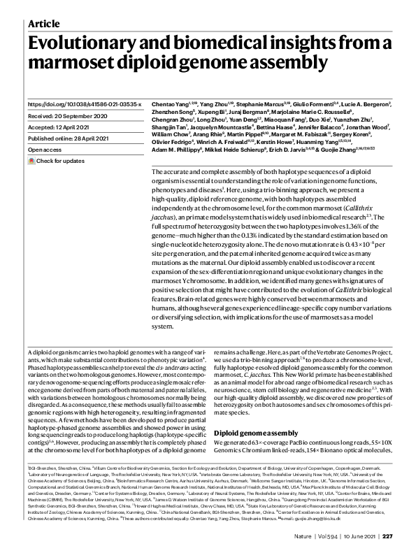 (PDF) Evolutionary and biomedical insights from a marmoset diploid ...